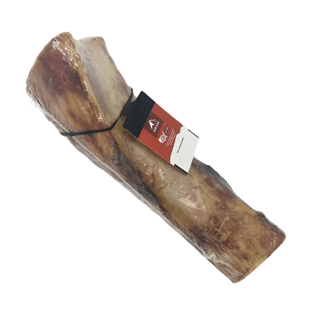 Bison Marrow Bone 6" – West Texas Primal Bites
